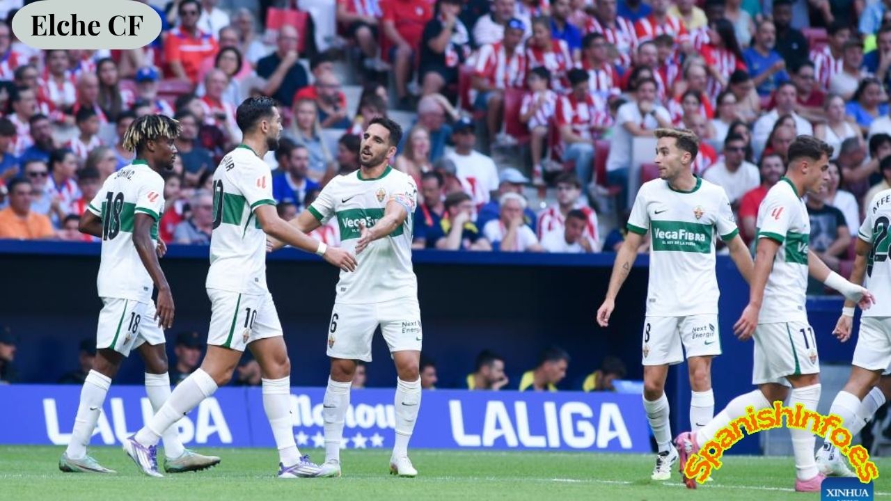 Elche CF: Historia, fichajes, noticias y actualidad del club ilicitano ...